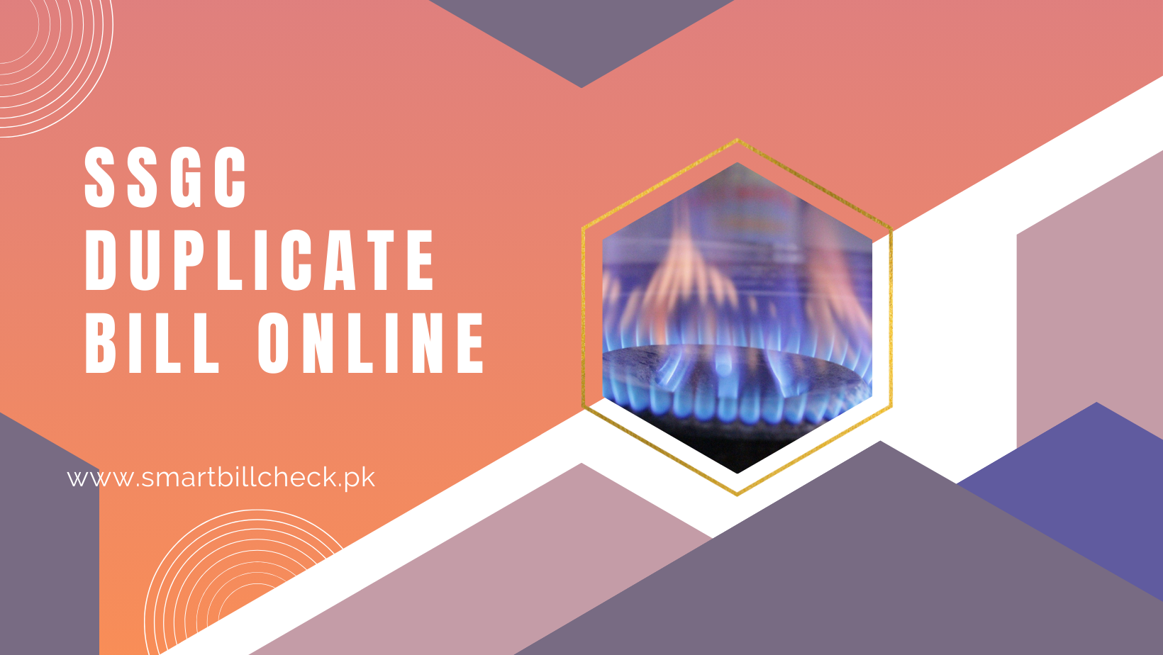 SSGC Duplicate Bill Online 2025 - Smart Bill Check